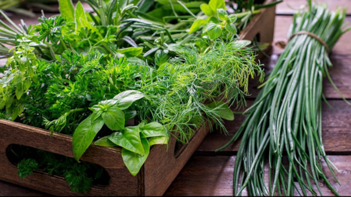 How To Clean And Store Herbs For Safe Consumption: Easy Tips And Steps ...