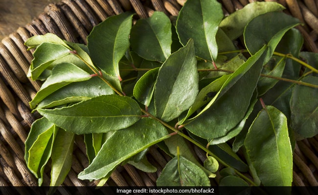 Can Curry Leaves Help Bring Blood Sugar Levels Down? Let’s Find Out