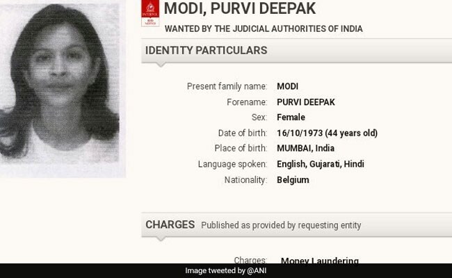 PNB Money Laundering Case: Interpol Issues Arrest Warrant Against Nirav Modi's Sister Purvi Modi ...
