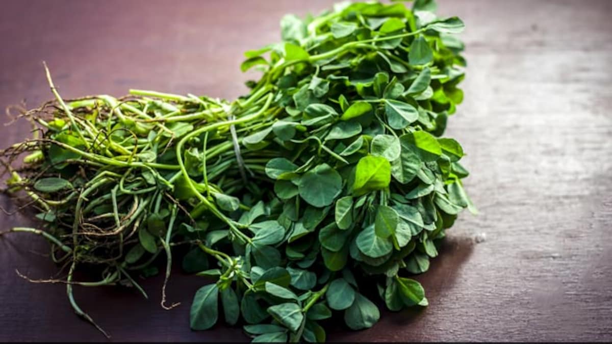 Winter Health Care: 5 Reasons Why Methi Is Considered Winter Superfood ...