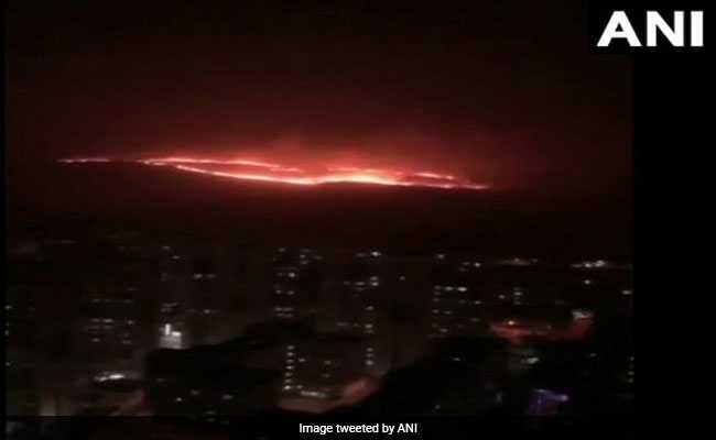 Massive Fire Breaks Out In Forest In Mumbai