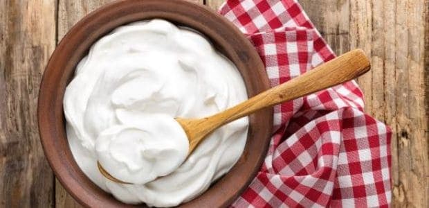 Good Bacteria Can Prevent Food Allergy; Best Sources Of Good Bacteria ...