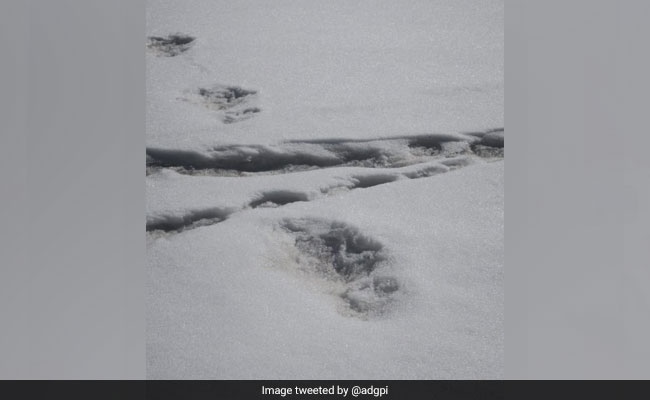 Yeti Footprints Sighted By Expedition Team, Tweets Indian Army