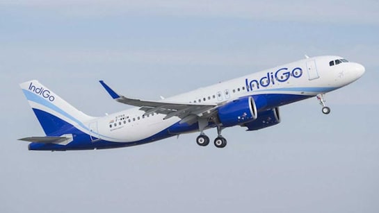 indigo flights