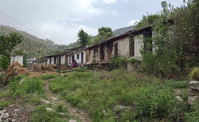 Uttarakhand Village Girl