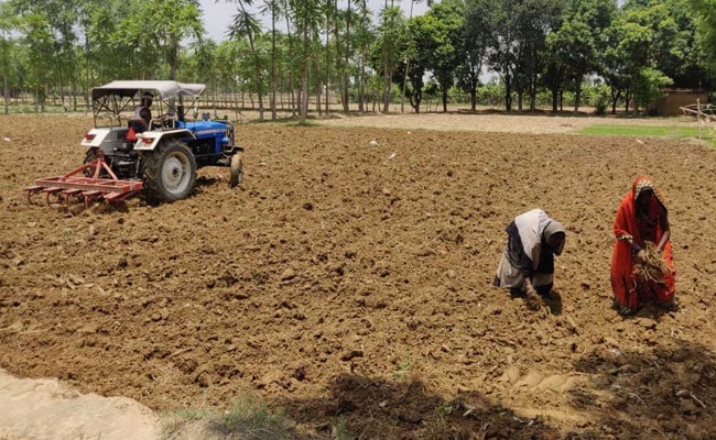 With Deficit In Monsoon, Sowing Of Crucial Crops Takes A Big Hit