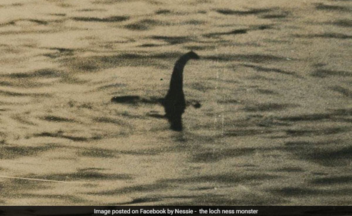 Loch Ness Monster "Seen" In Scotland Waters, First Sighting In 2025