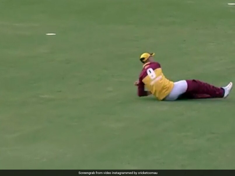 Marnus Labuschagne Loses His Pants But Pulls Off An Incredible Run-Out ...