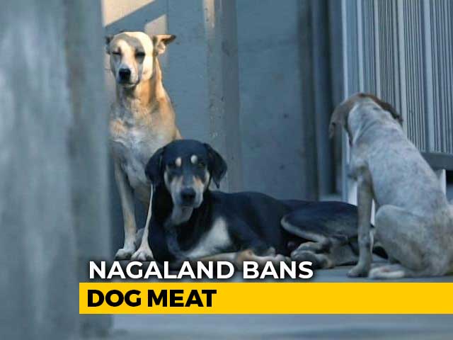 Nagaland Bans Dog Meat After Uproar On Internet