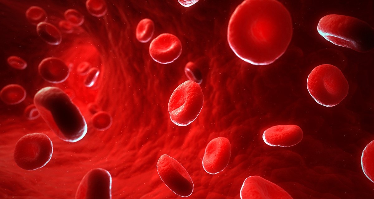 What Is Anemia? Know Causes And Symptoms