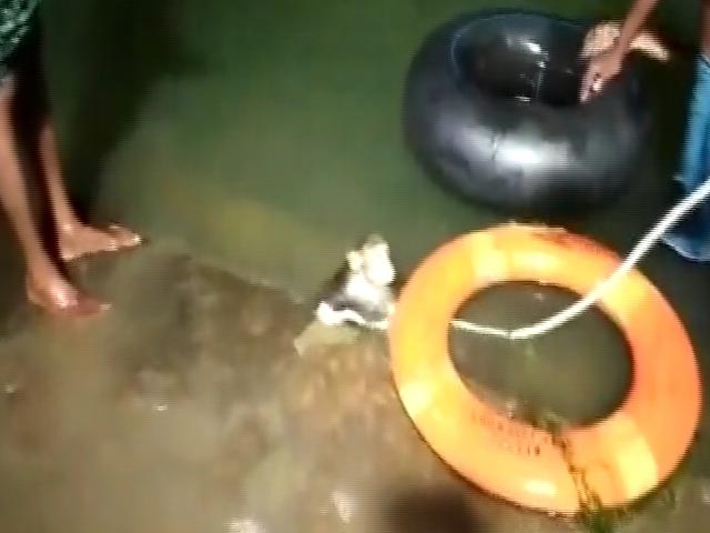 Watch: Miracle Rescue Of Monkey Trapped In A Reservoir In Odisha