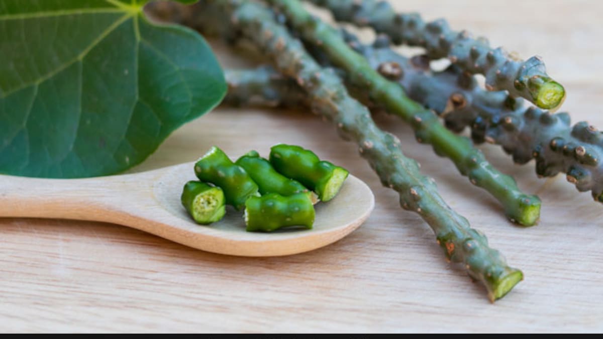 From Weight Loss And Immunity: 5 Reasons Why You Must Add Giloy To Your ...