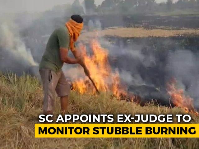 Supreme Court's Big Move On Stubble Burning, Declines Centre's Request
