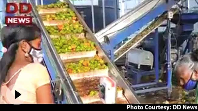 Manni Ki Baat | PM Narendra Modi Praise Hyderabad Vegetable Market In ...