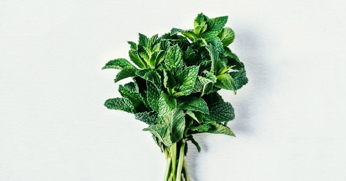 Mint Leaves Health Benefits: Reasons To Include Mint In Diet