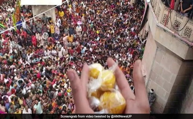 Watch: Thousands At Barsana Shri Radha Rani Temple For Laddu Maar Holi ...