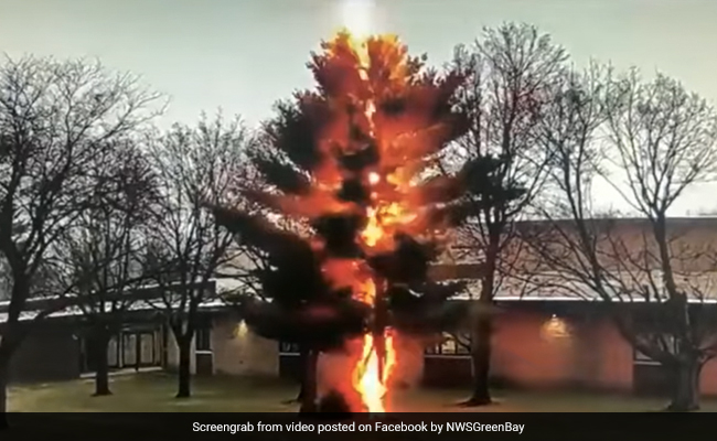 Catching Fire Lightning Tree Scene