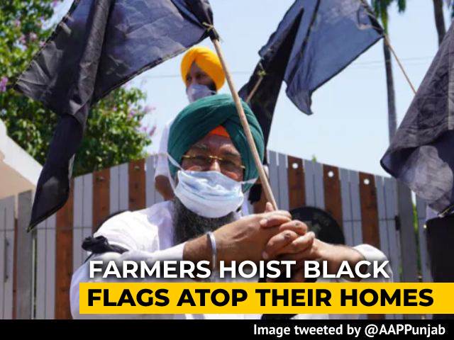 Punjab, Haryana Farmers Hoist Black Flags To Mark 6 Months Of Farm Laws ...