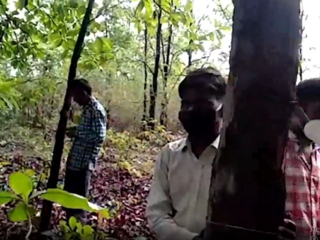 Locals Protest Against Mining In Madhya Pradesh Forest Area