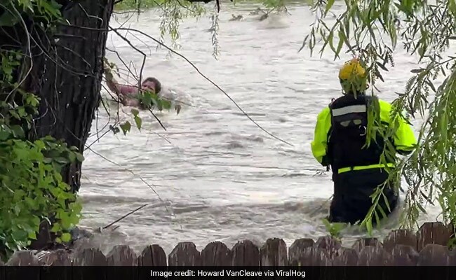 Car Swept Away In Flood, Woman Clings To Tree In Dramatic Video