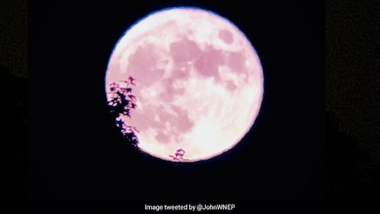 different moons 2025