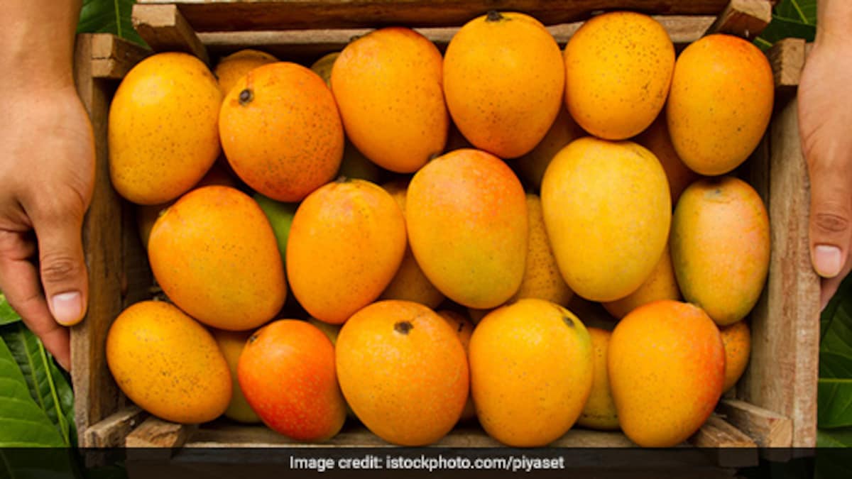 "I Love Mangoes, But..." This Hilarious Video By RJ Karishma Is All Of ...