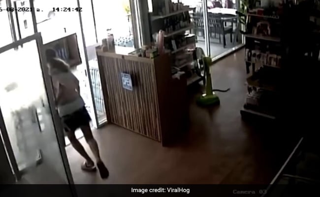 Watch: Store Worker Runs Out At Top Speed After Spotting A Snake