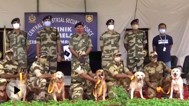 7 CISF Sniffer Dogs Working In DMRC Retire After 10 Years Of Service