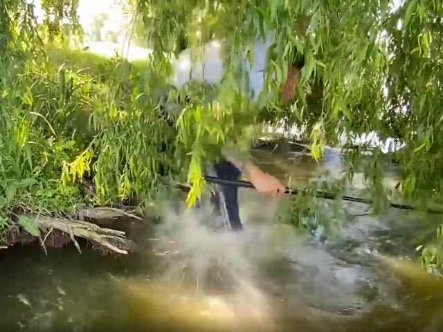 Watch: Large Fish Pulls Man Into Water