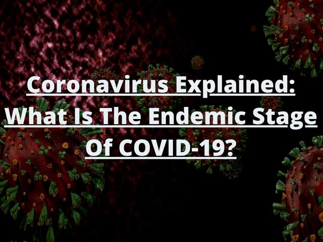 Coronavirus Explained: What Is The Endemic Stage Of COVID-19?