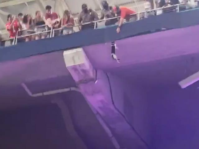Stadium Goers Catch Falling Cat In Viral Video