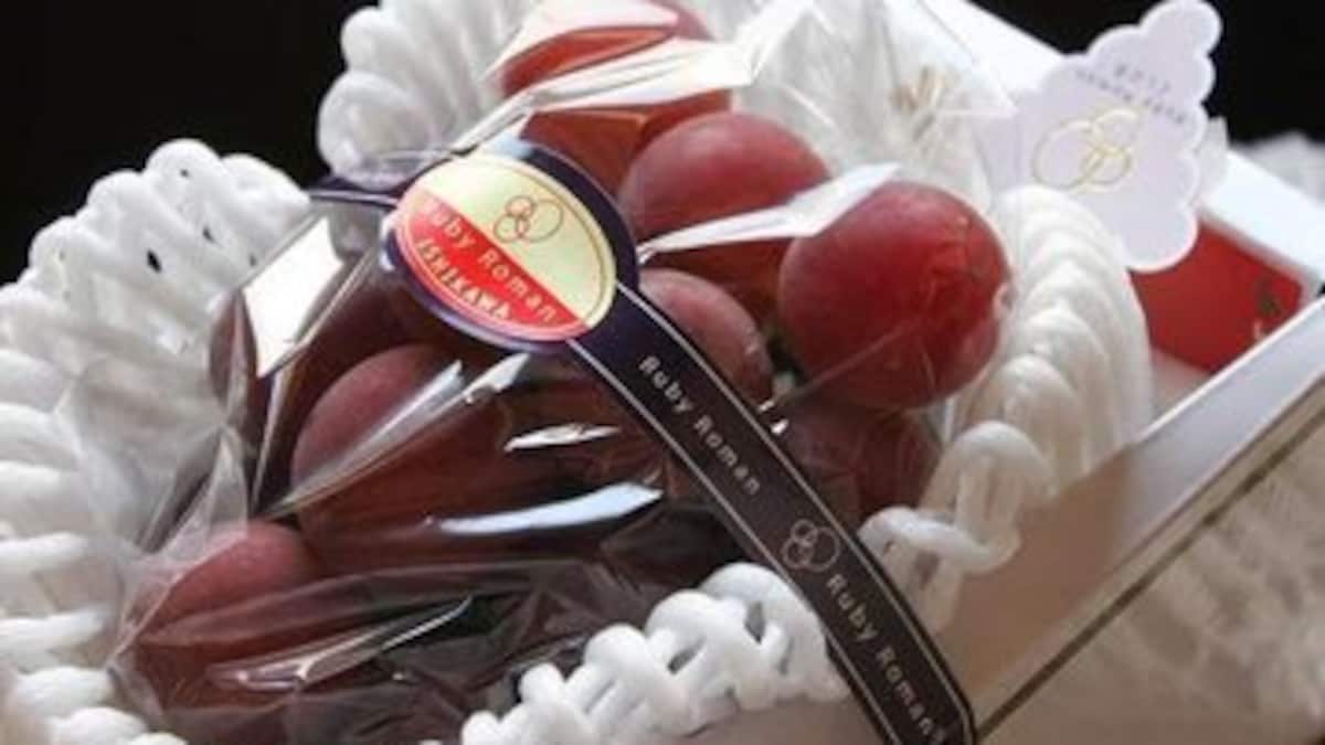 Ruby Roman Grapes: दुनिया का सबसे महंगा अंगूर, इस जापानी अंगूर के एक ...