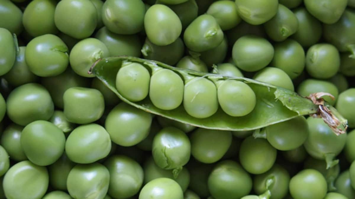 Are Your Green Peas Sprayed With Artificial Colour? Find Out Here ...