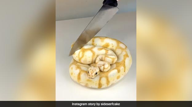 Viral Cakes | Know All About Viral Cakes at NDTV Food