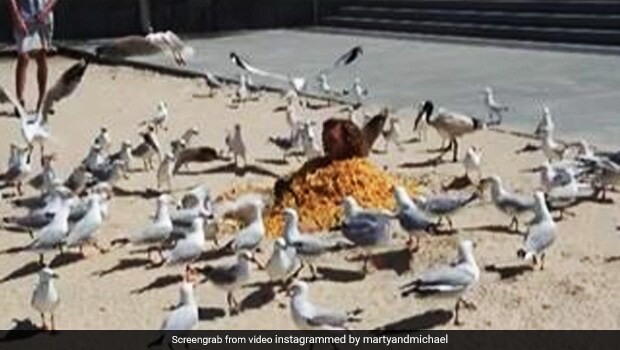 Bizarre Stunt | Know All About Bizarre Stunt at NDTV Food