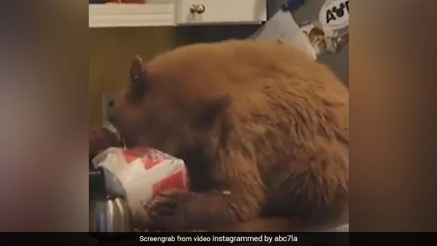 Kfc Chicken | Know All About Kfc Chicken at NDTV Food