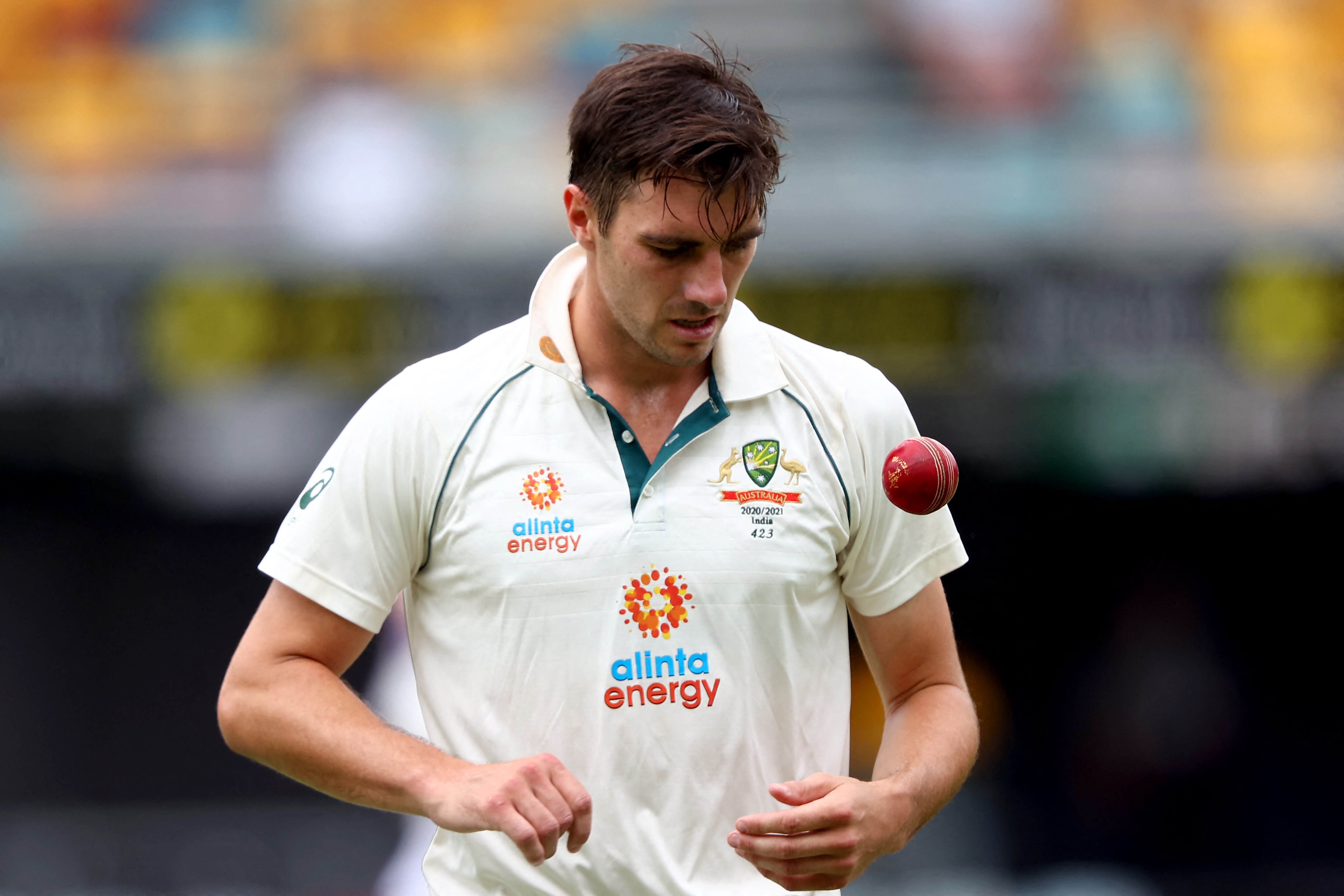 Cricket Australia names Pat Cummins as Test Captain after Paine's ...