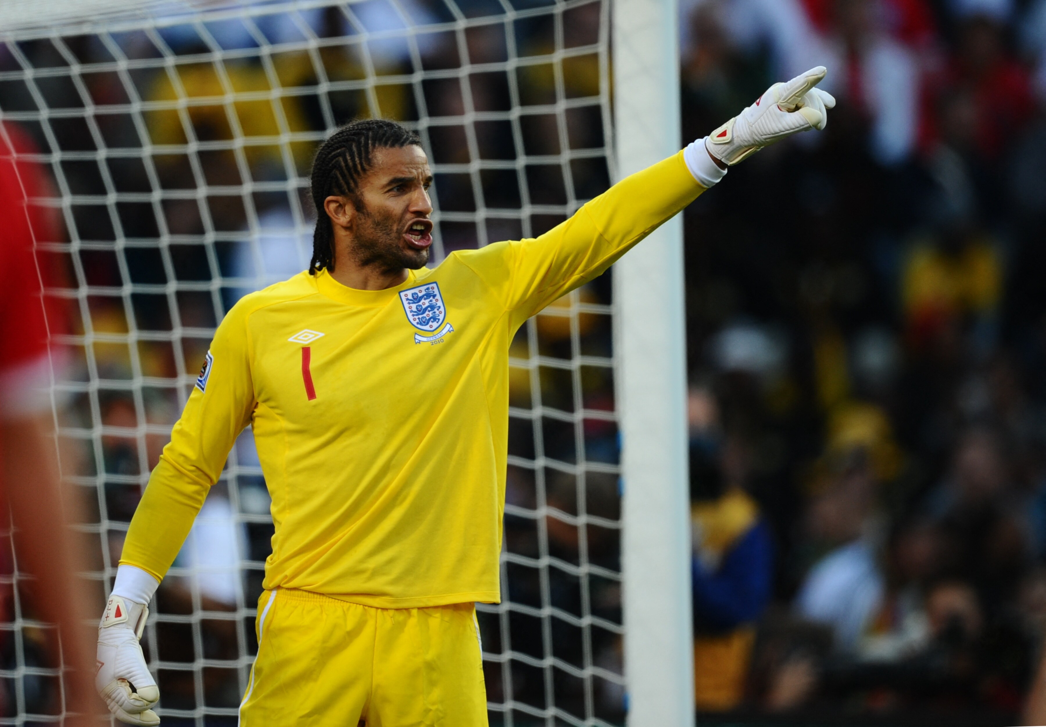 David James Profile - Football Player, England | News, Photos, Stats ...