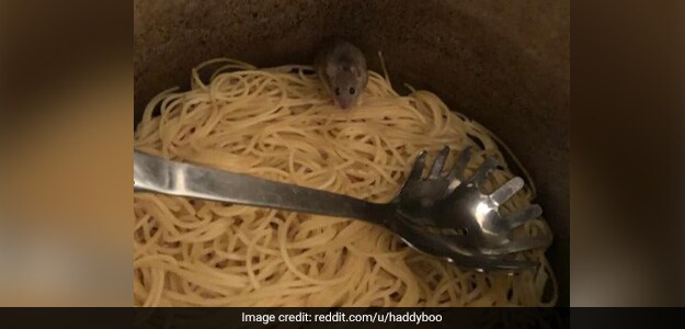 Mouse In Noodles | Know All About Mouse In Noodles at NDTV Food