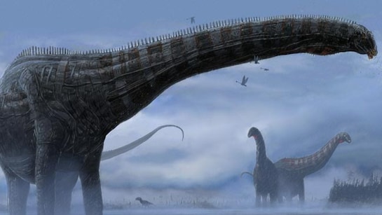 largest dinosaur ever found
