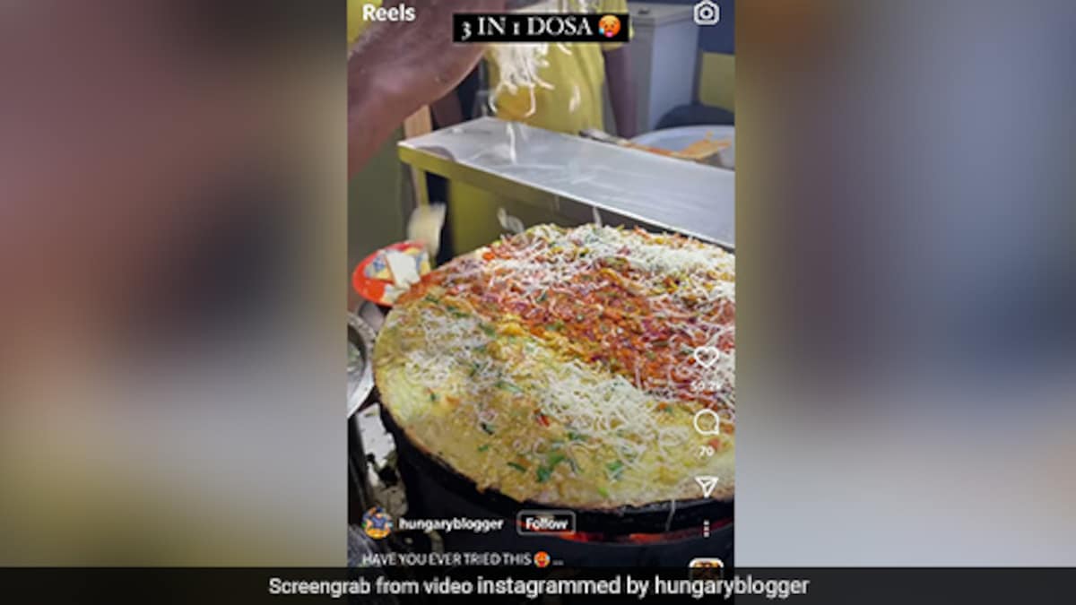 Watch: Vendors Three-In-one Dosa Made With Paneer And Chinese Flavours Leaves The Internet In ...