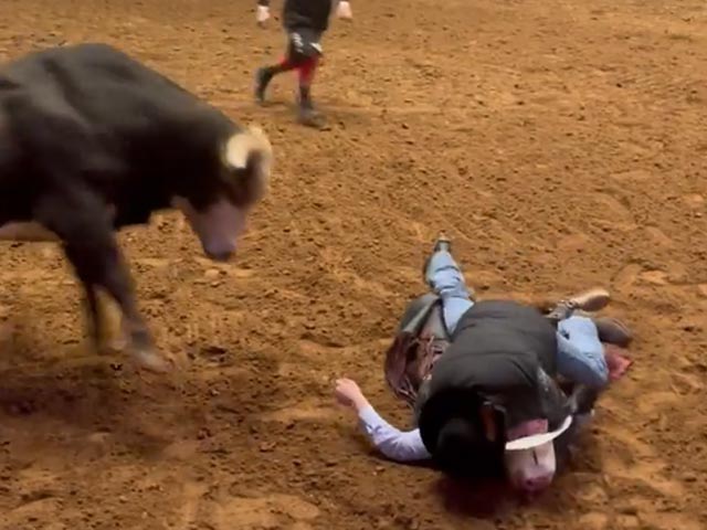 Man Saves Son From Raging Bull In Spine-Chilling Video