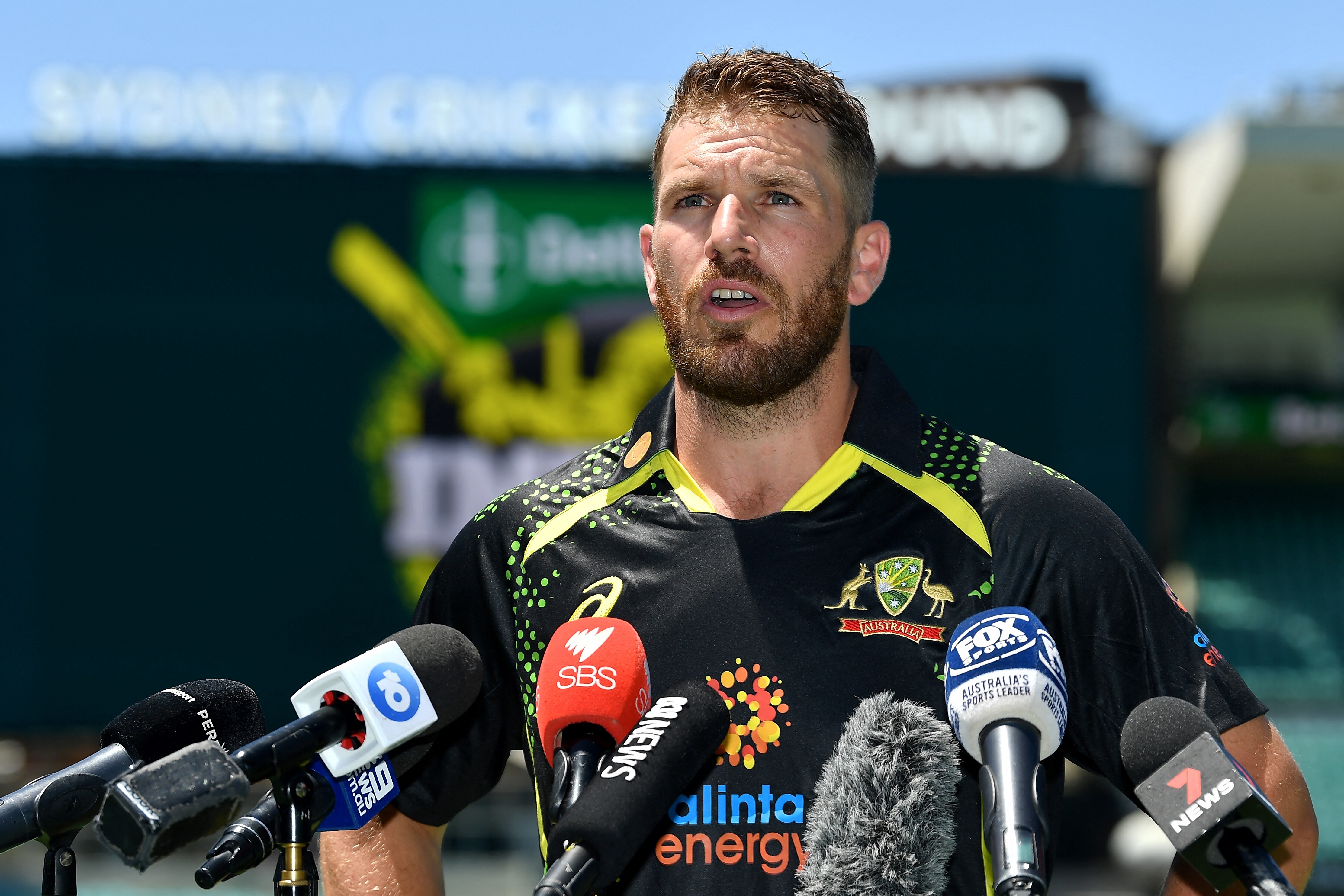 Tim David Profile - Cricket Player, Singapore | News, Photos, Stats ...