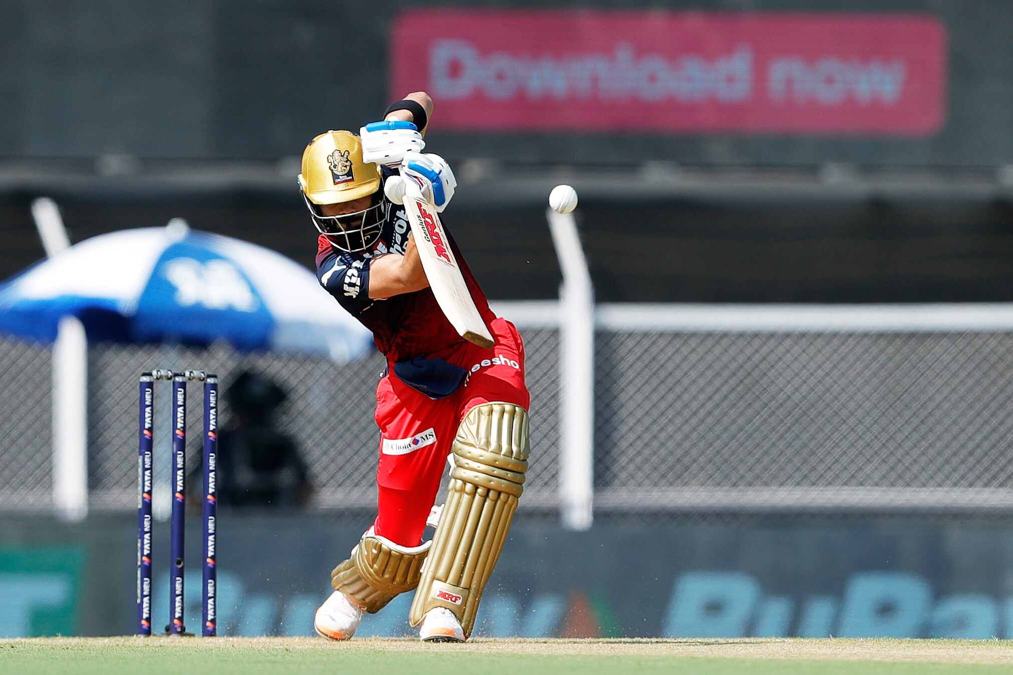 Virat Kohli Profile - Cricket Player, India | News, Photos, Stats ...