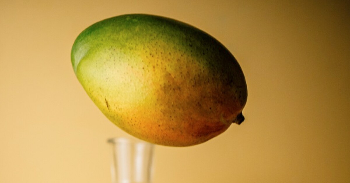 5 Ways To Preserve Mango Through The Year