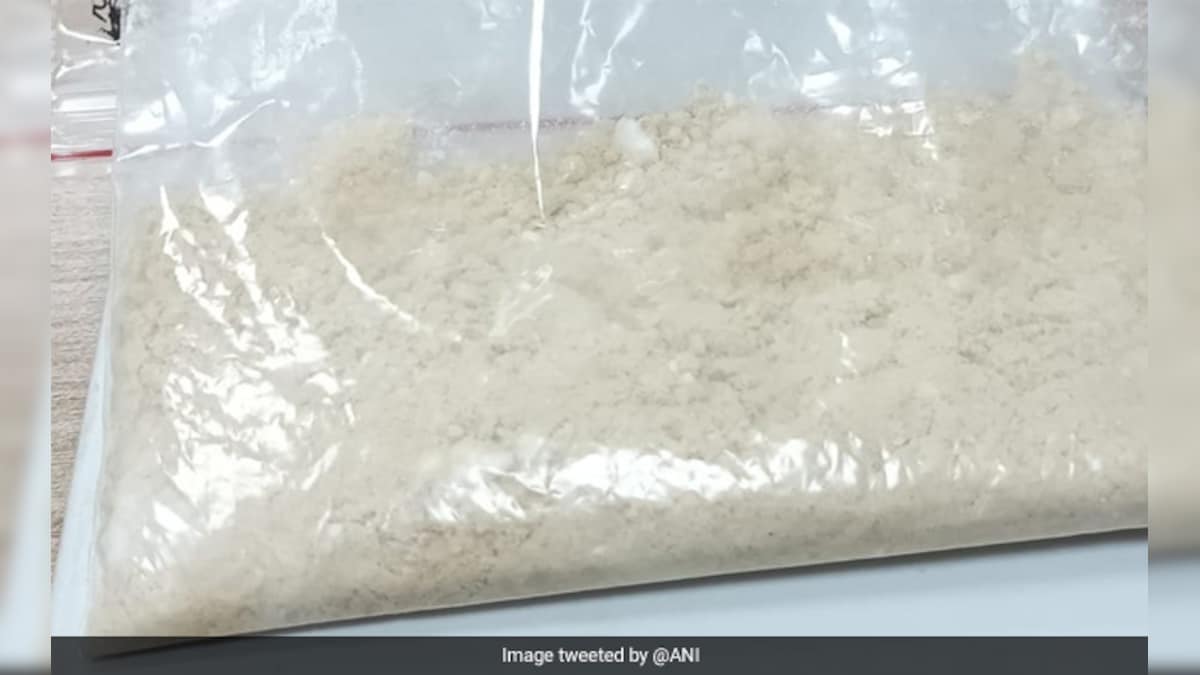 Party Drug "Meow Meow", Worth Rs 1,000 Crore, Caught In Gujarat Warehouse