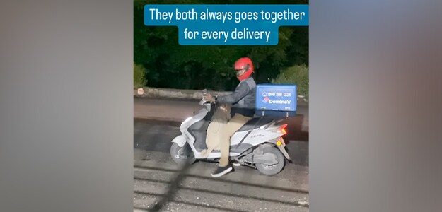 Viral Dog Video | Know All About Viral Dog Video at NDTV Food