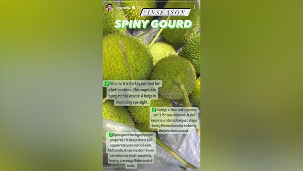 Spiny Gourd | Know All About Spiny Gourd at NDTV Food