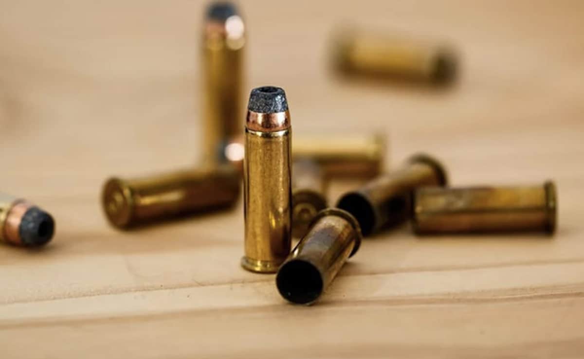 200 Bullets Stolen From Madhya Pradesh Police's Arms Depot In Morena