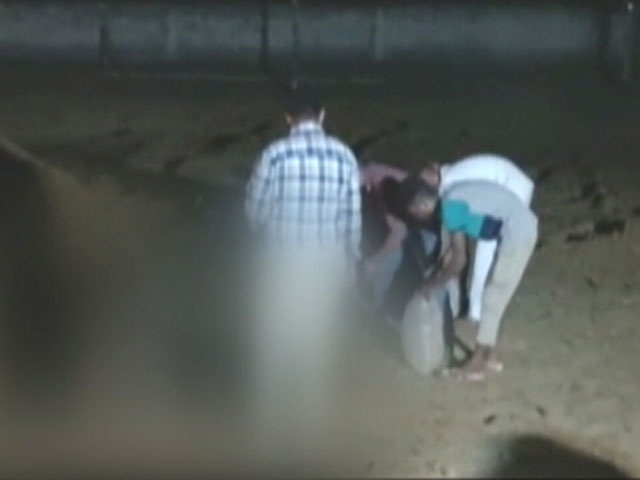 Over 50 Cattle Die At Cow Shelter In UP, Probe Ordered